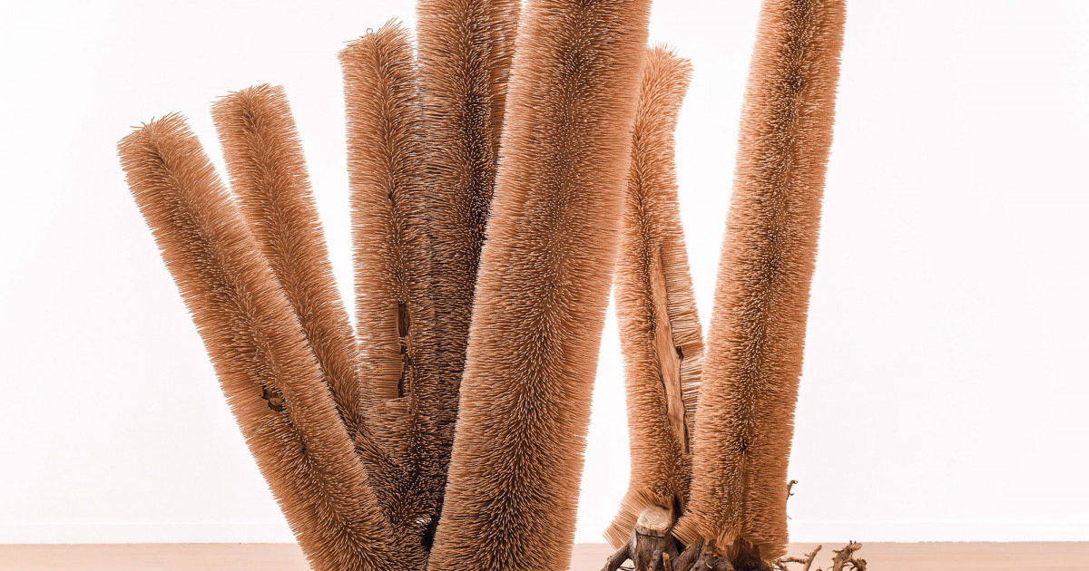 Philippe Droguet – Highlights