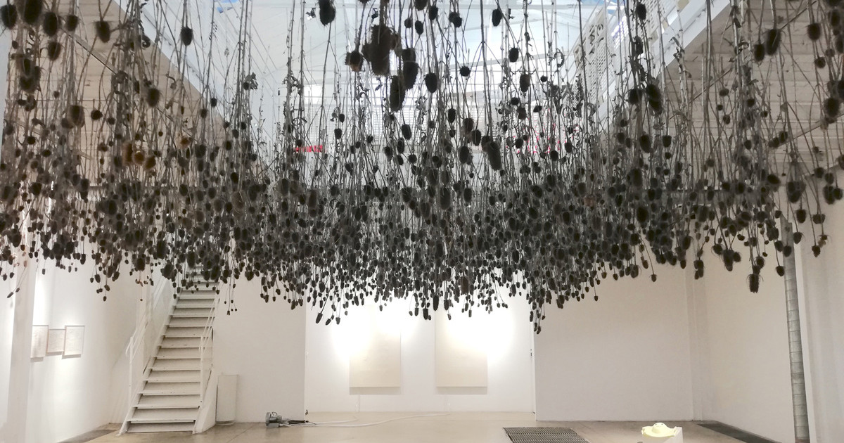 Après avoir retourné le champ – Jan Kopp