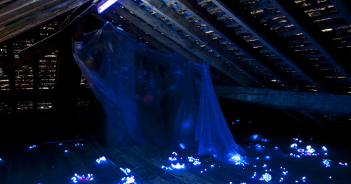 Chassez le naturel..., Villa Bernasconi, Lancy, 2009 – Keiko Machida