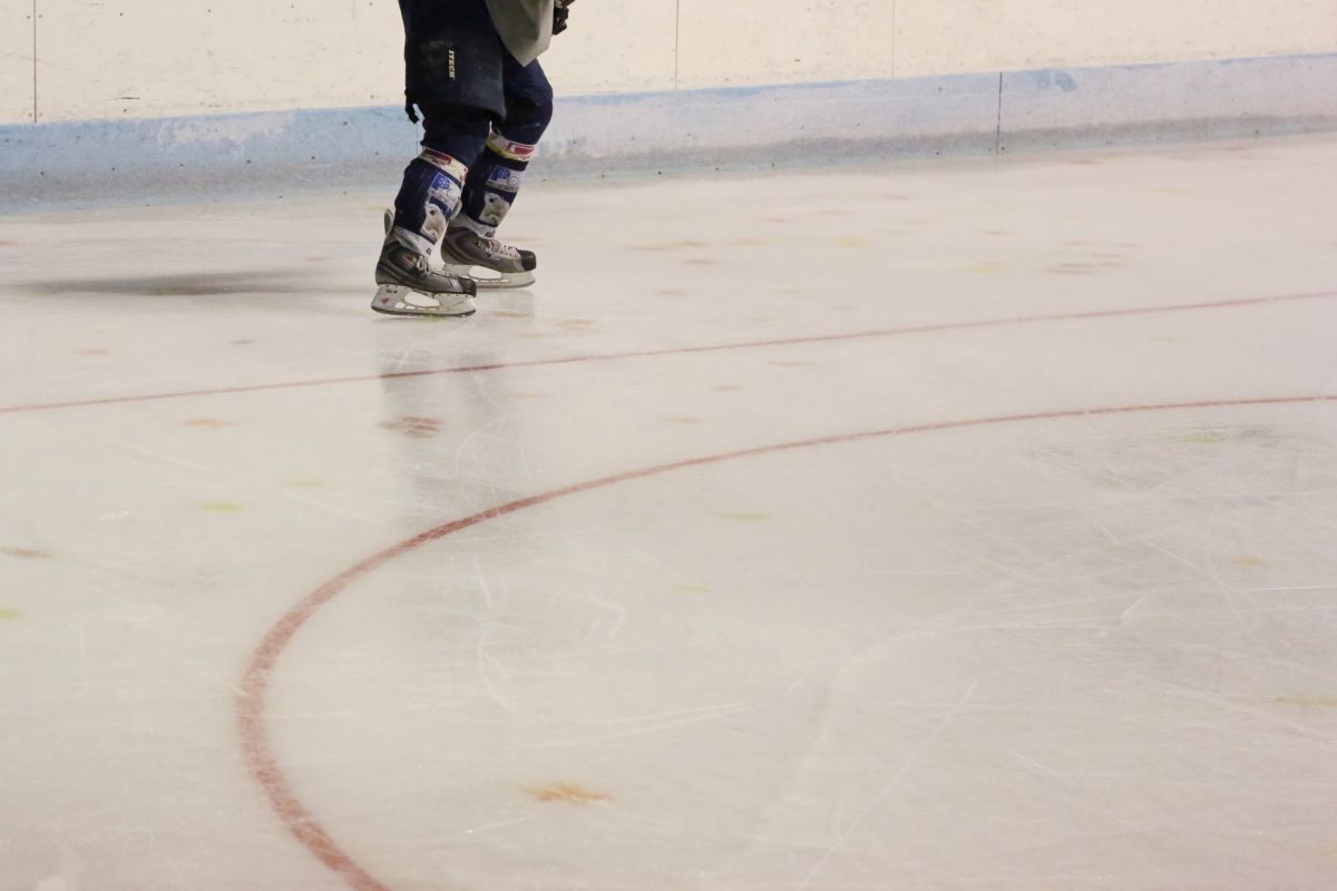 Harengs sec dans l'eau lisse, 2013-2014 – Marion Robin