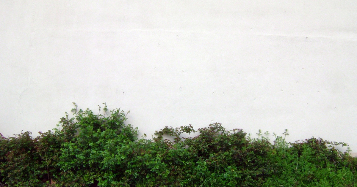 Cavalier seul – Yveline Loiseur